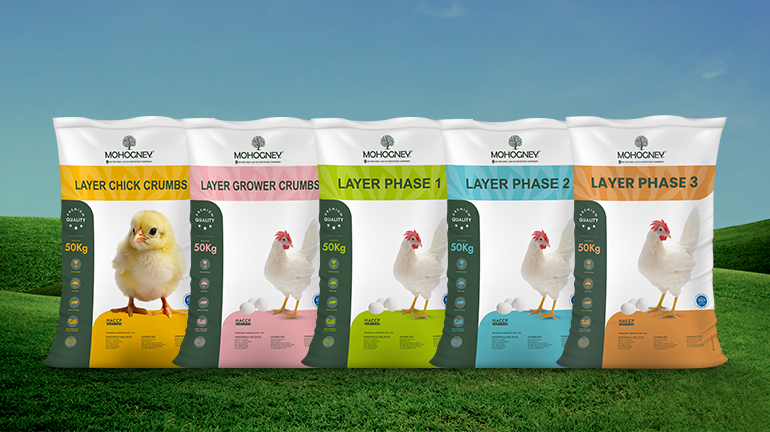 Layer Feed - Mohogney Agrotech Pvt. Ltd.