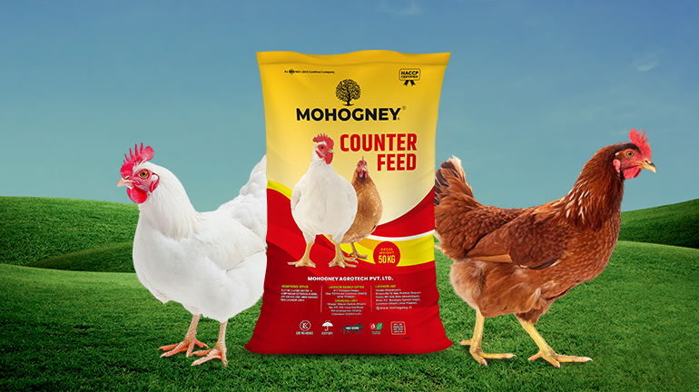 Counter Feed - Mohogney Agrotech Pvt. Ltd.